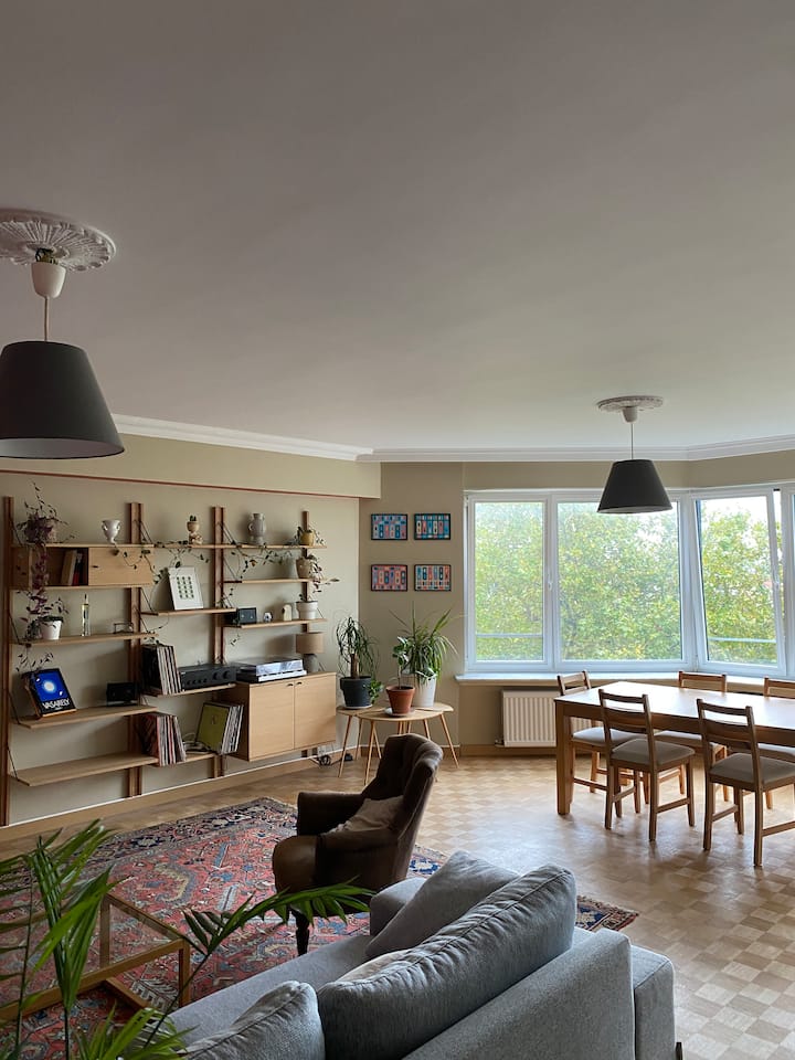 Appartement Spacieux Et Lumineux - Brussels