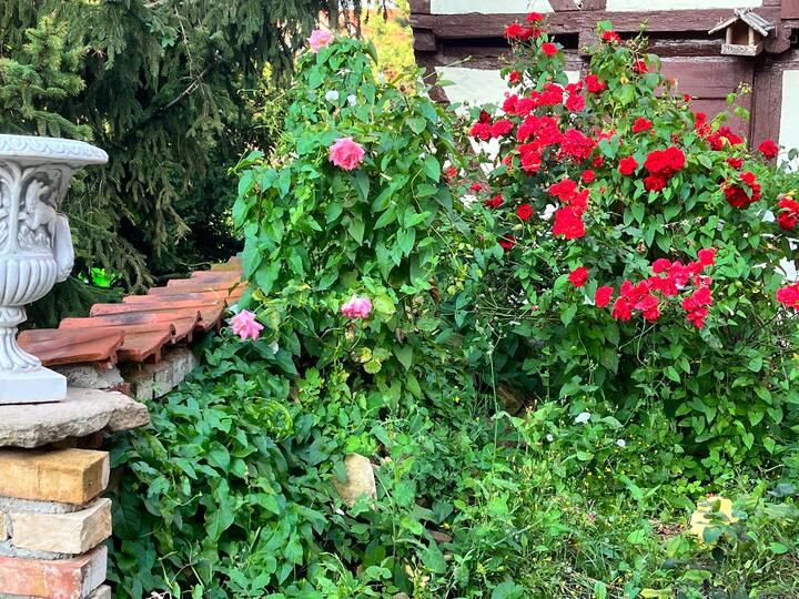 Haus Am Berge - Thale