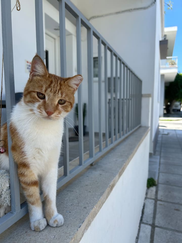 Spacious And Bright Kos Home - Kos