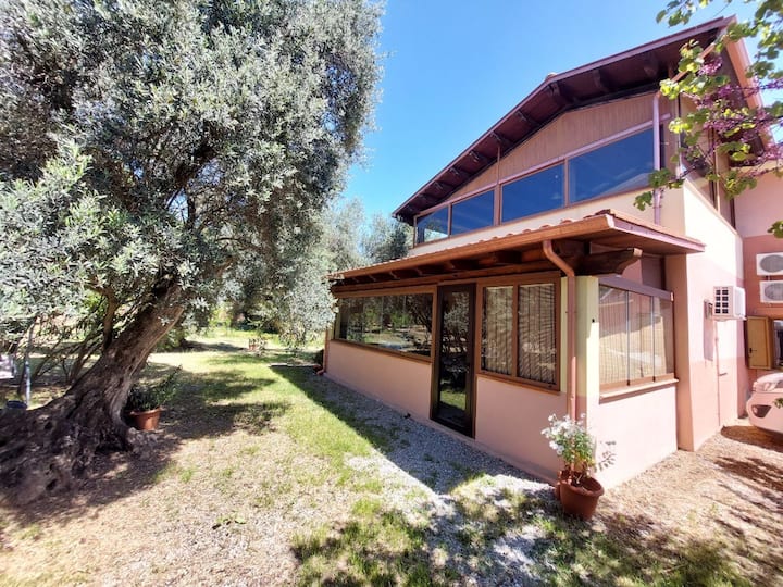 Casa L'antico Ulivo Con Giardino - Iglesias