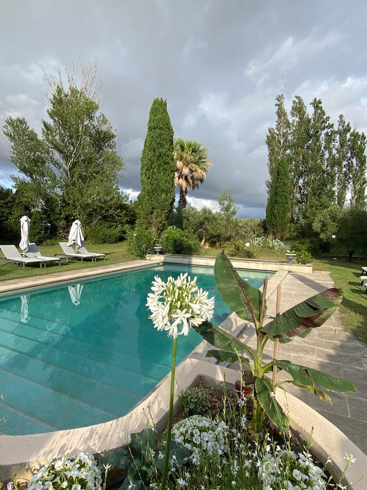 Villa Mérinos En Camargue 70 M2 Avec Jardin - Arles