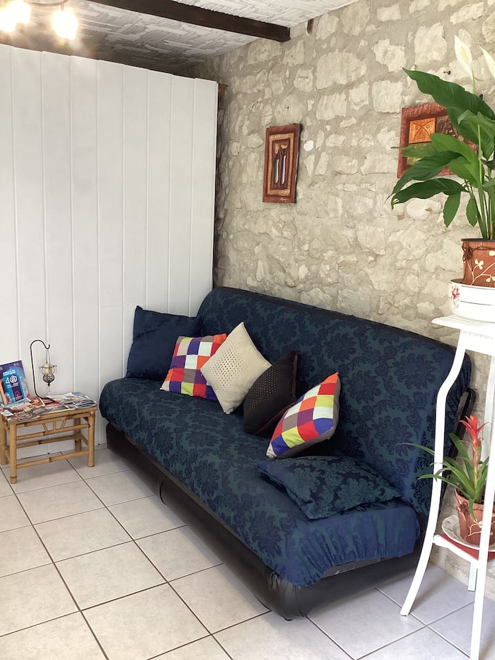 Studio Verdoyant Et Calme - Châtellerault