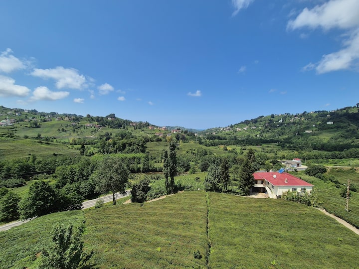 Yazlık - Trabzon