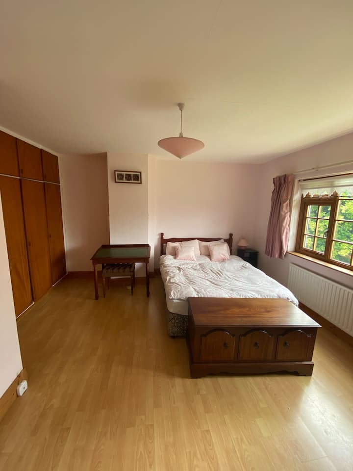 The Pink Room - Limerick, Ireland