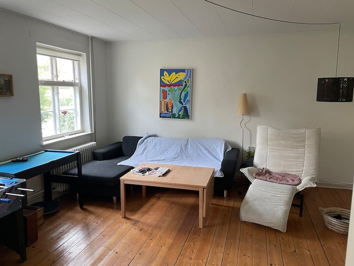 Hus I Skønne Ribe - Ribe