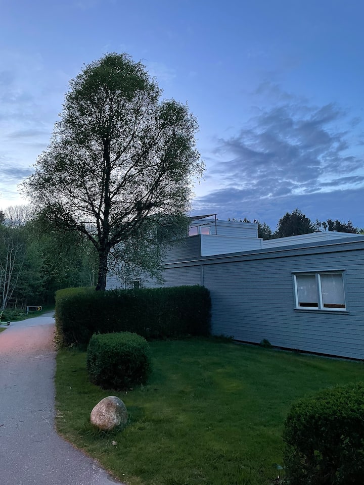 Rekkehus Sentralt I Stavanger. - Stavanger