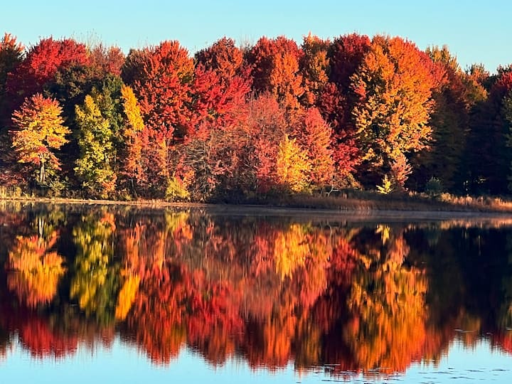 Centennial Cottage @ Coady Lake - Maple Valley Township