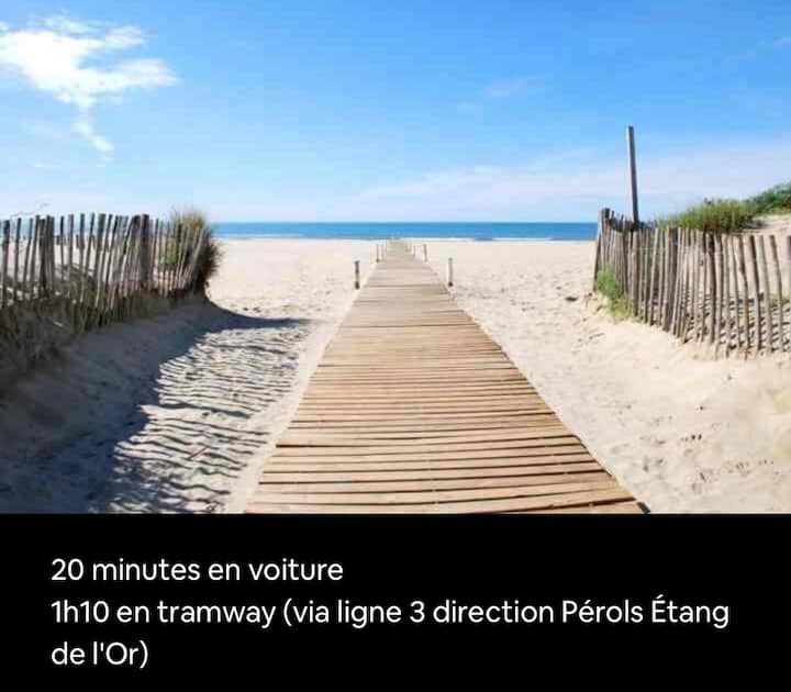 T3 + 5 Arrête De Centre + Parking+tram2 à 50m - Lattes