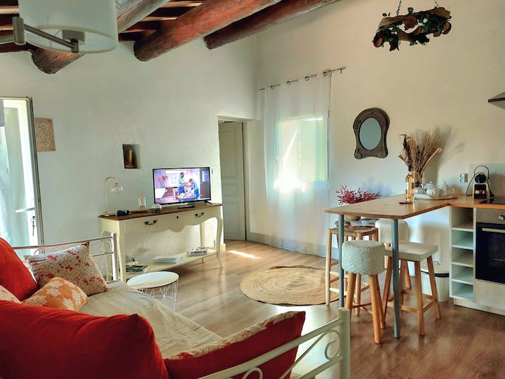 Charmant Gîte Provençal - Le Castellet