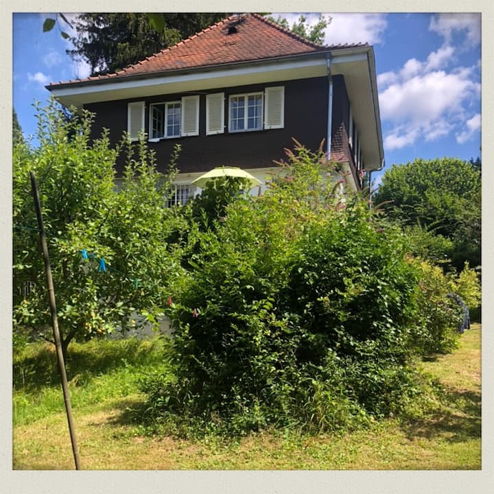 Maison De Charme - Fribourg-en-Brisgau