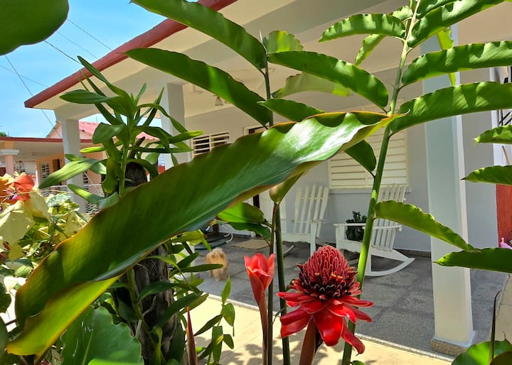 Casa Yovi Y Rene "Solar Panels Kit"free Wi-fi" - Viñales