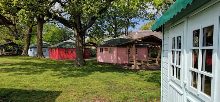 Cozy Houten Familie Hut Vlakbij Bos En Natuur - Ommen
