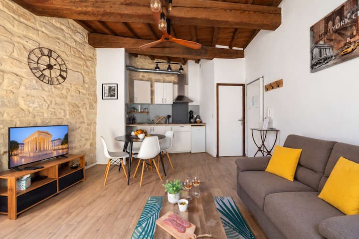 Les Saladelles Studio Wifi Proche Abbatiale - Bellegarde