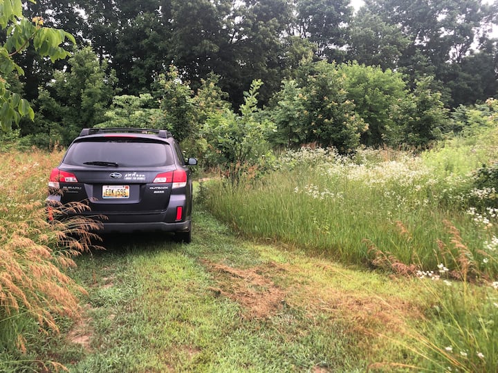 Safe Road Trip Overnight Camping, No Bathroom - Fremont, IN