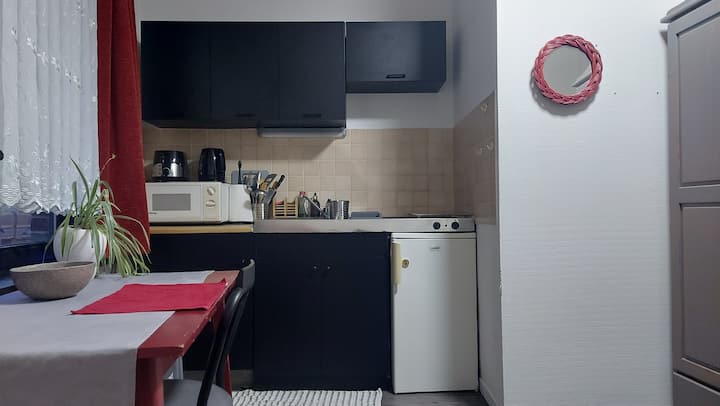 Single Room With Kitchenette - Brugge