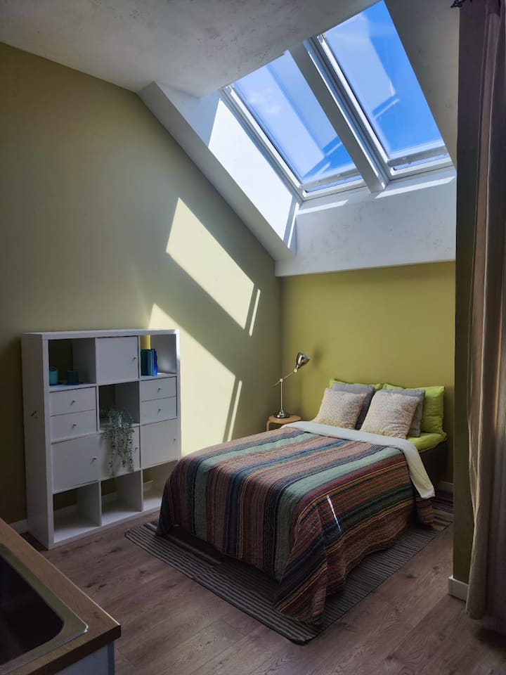 Renesans Nr.6 - Vilna