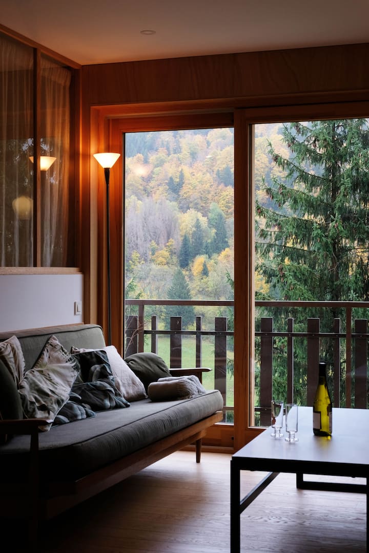 Appartement Design à La Montagne - Saint-Jean-de-Sixt