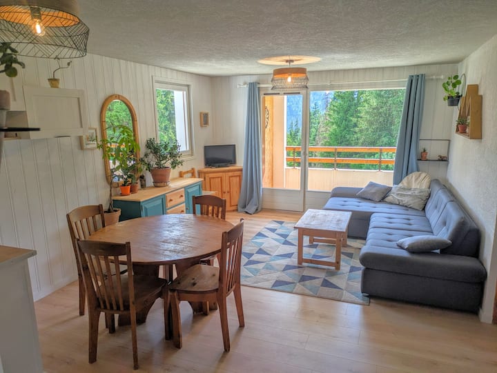 Grand Appartement 50m², 2 Chambres - Passy