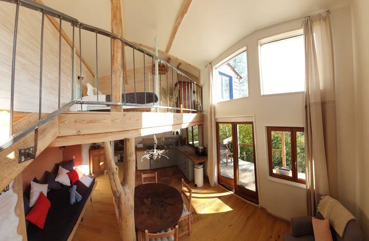 Chalet Salamandre - France