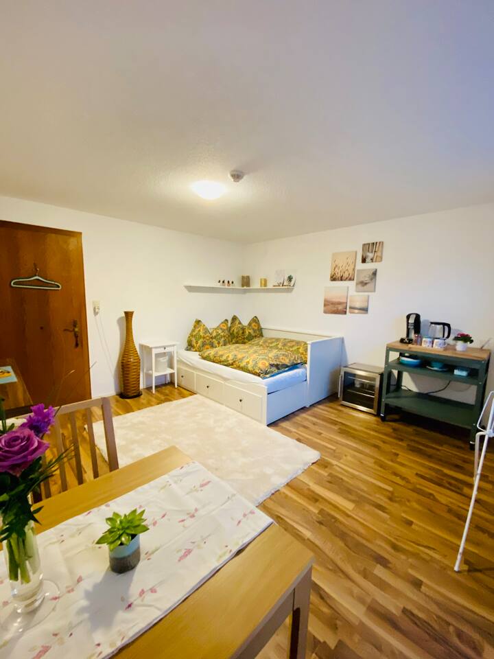 Gemütliches, Freundliches Zimmer In Hohenems - Hohenems