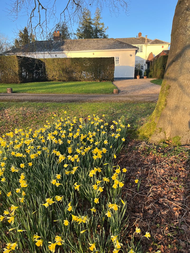 Cosy Country Cottage - Petersfield