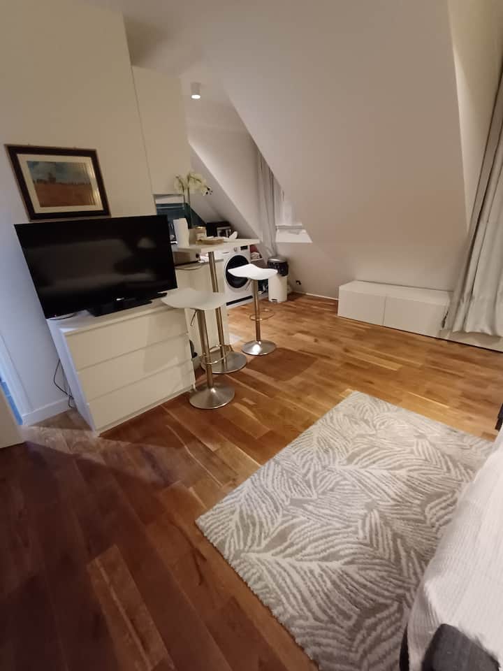 Appartement Paris Bail Mobilité (Studio) - Sèvres