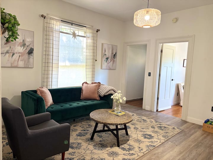 Historic Ypsi Stay I Near Ann Arbor & Depot Town - Ypsilanti, MI