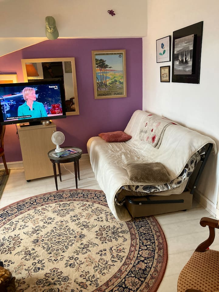 T1 Bis Appartement Pour Vivre Au Bord De L’océan ! - Urrugne