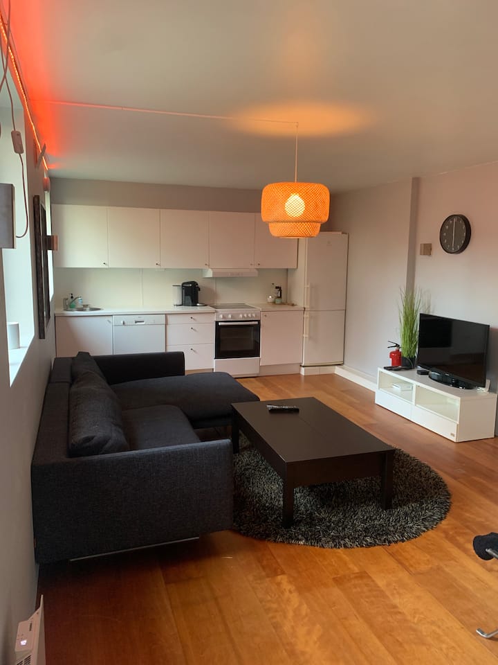 Sentral Kjellerleilighet - Close To Jwc (Nato) - Stavanger