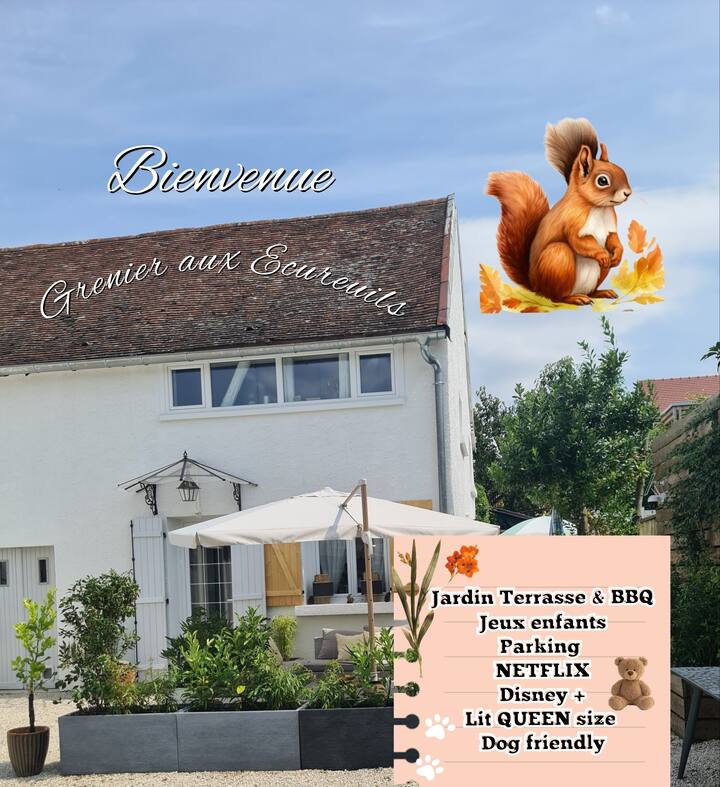 Le Grenier Aux Ecureuils - Troyes