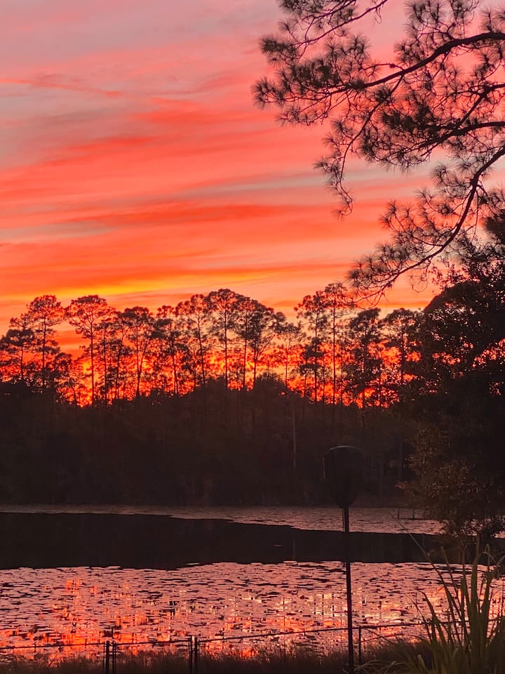 Hidden Sunset Oasis - Deltona, FL