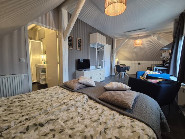 Apartment Hayloft + Evt. Wellness. - Apeldoorn