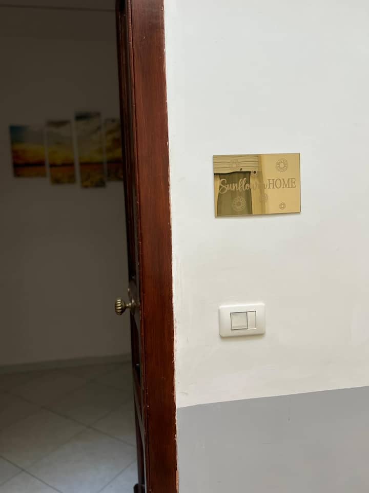 Beb Sunflower  Home  Flower - Nola