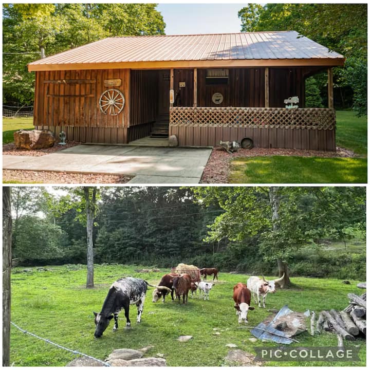 Copper Valley Farm Cabin Near The Hocking Hills - Hocking Hills State Park, OH