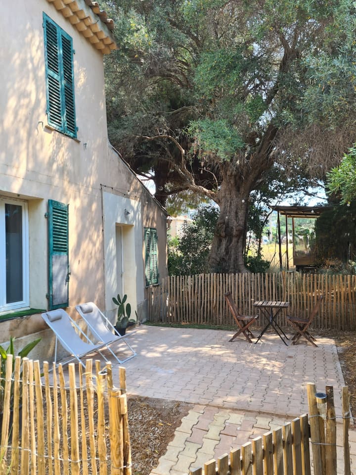 Studio à 5 Minutes De La Plage - Plage de Porquerolles