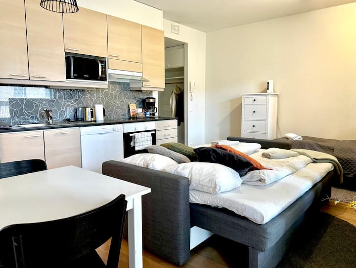Apartment By The Train Station - Vaasa
