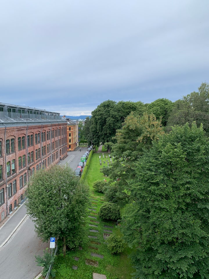 Rolig Og Sentralt Med Balkong - Oslo