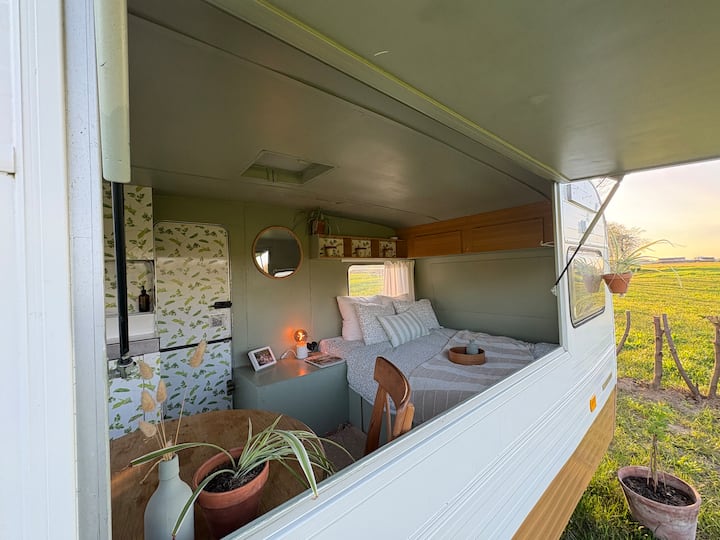 Logeren In’t Groen - Lier