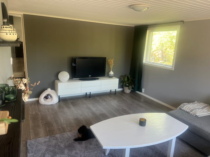 Huset Bland Trädtopparna - Sandhamn