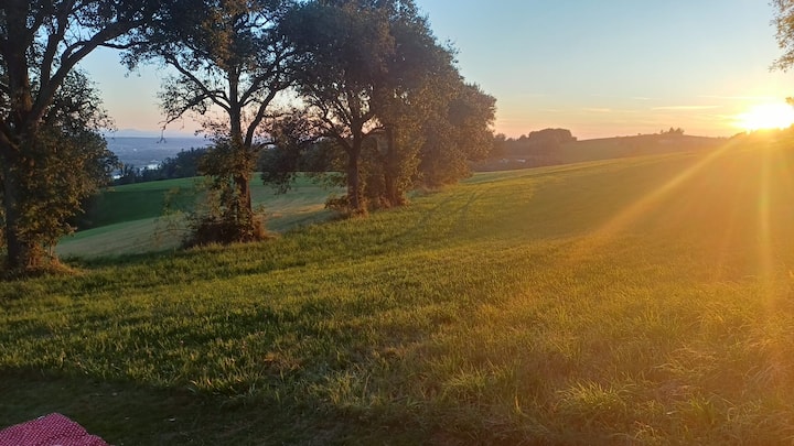 Urige Schlichte Bauernhofwohnung In Stadtnähe - Linz