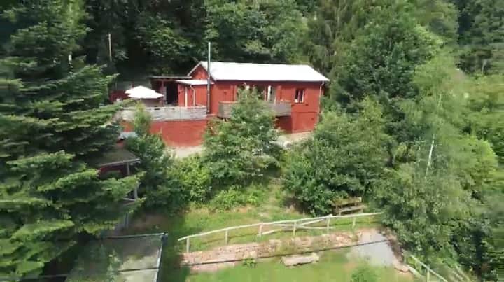 Waldhaus Mit Traumblick - Landau