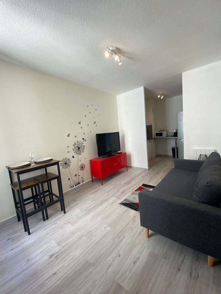 Appartement Cosy Au Cœur De Voiron – Gare à 5 Min - Voiron
