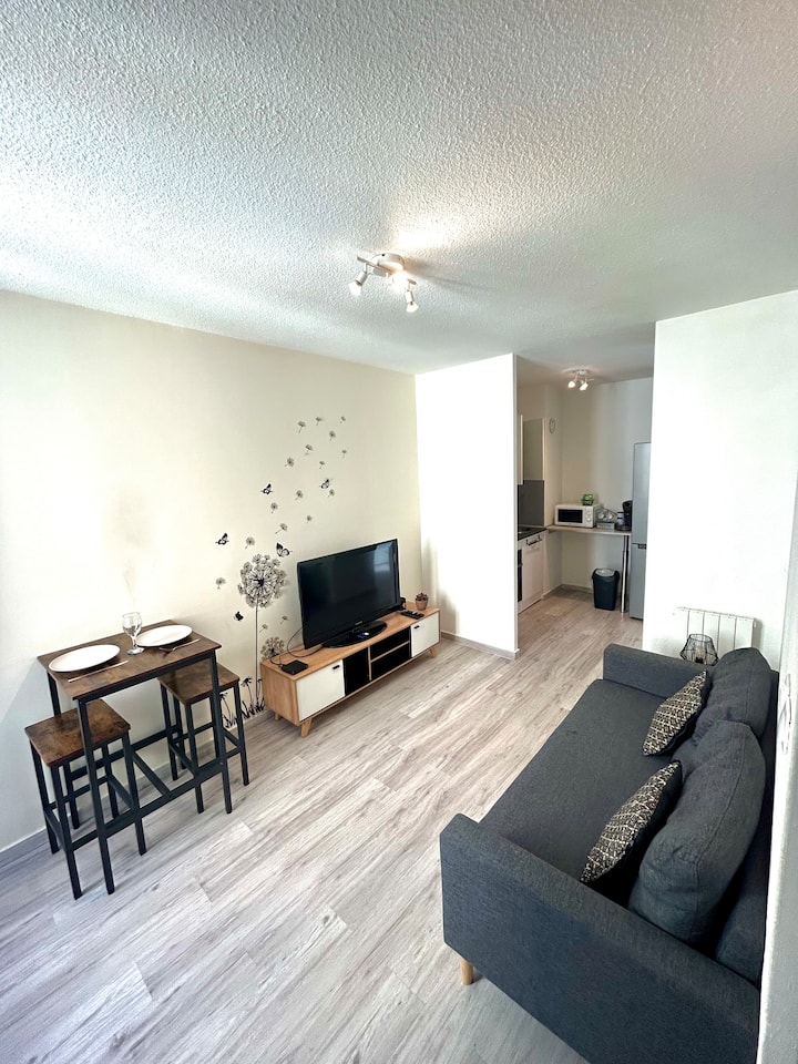 Appartement Cosy Au Cœur De Voiron – Gare à 5 Min - Lac de Paladru
