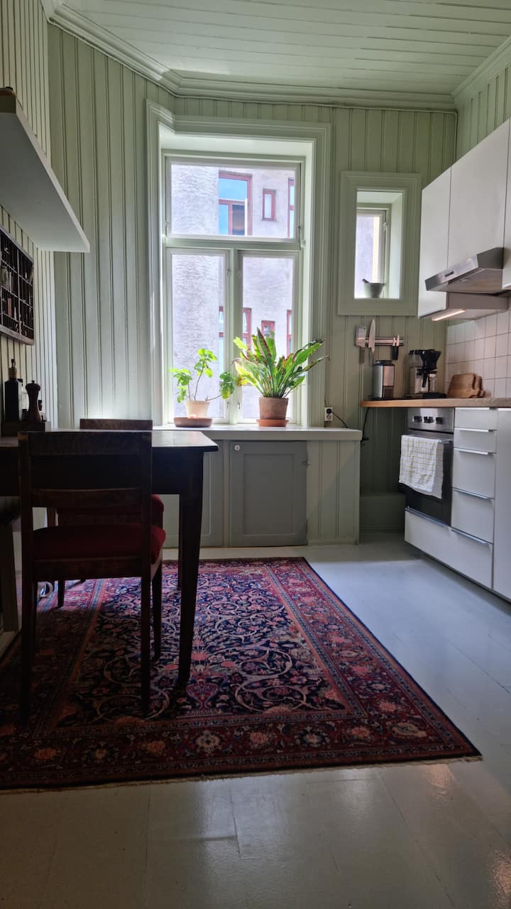 Leilighet På St. Hanshaugen - Oslo