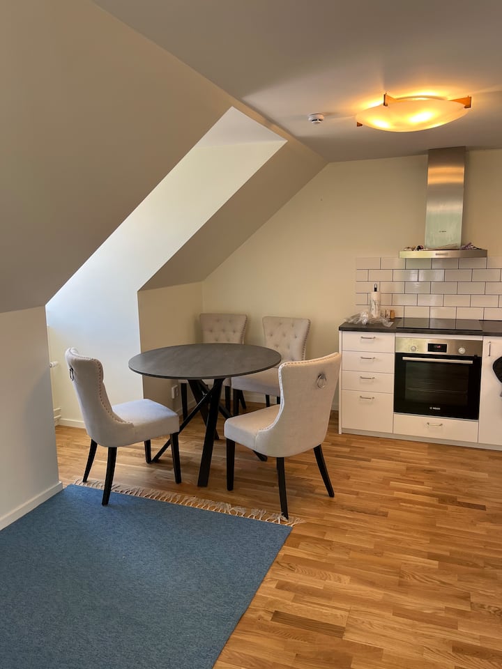 Amazing Loft Apartment - 隆德