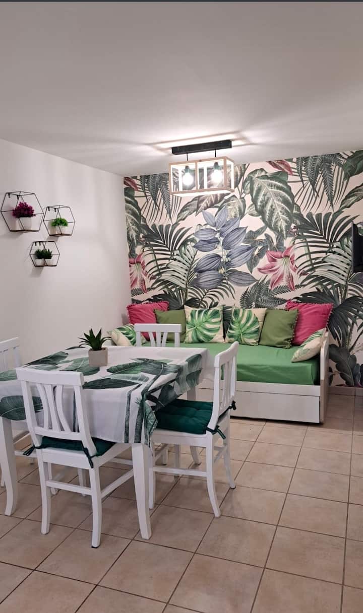 Giglio 2 Le Foglie - Isola del Giglio