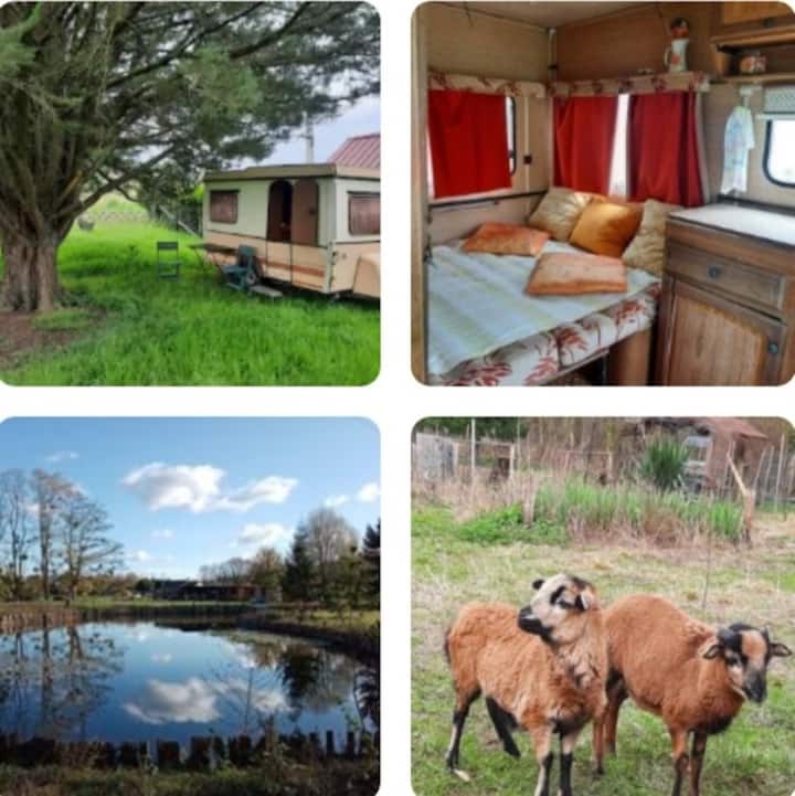 Nuits Insolites - Sarthe