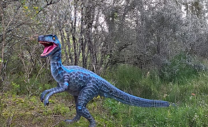 Gite Medievial Au Parc Animalier De Ginasservis - La Verdiere
