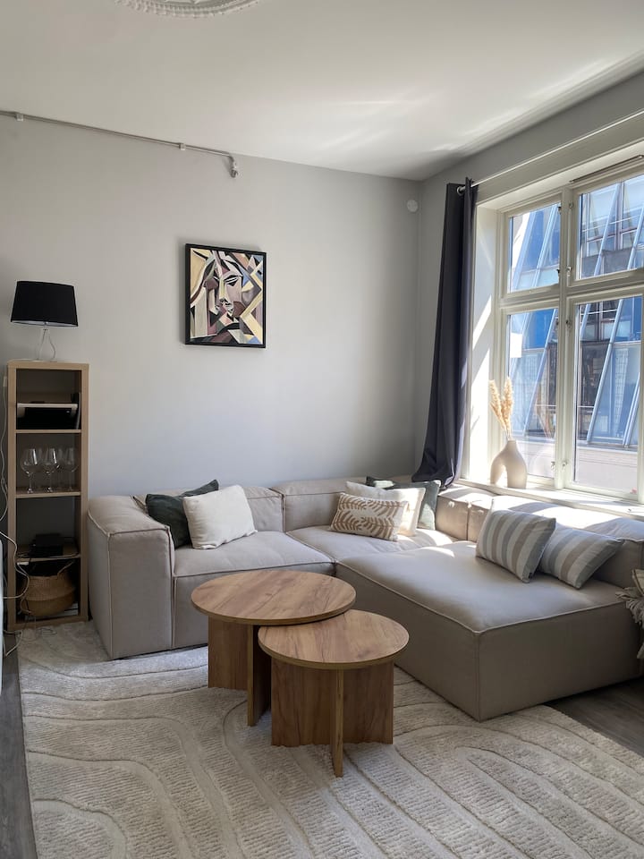 Klassisk Og Sentralt - Oslo