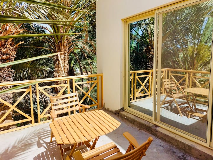 Palm House 3 - Egipto
